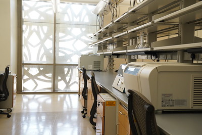 Health Sciences Research Centre